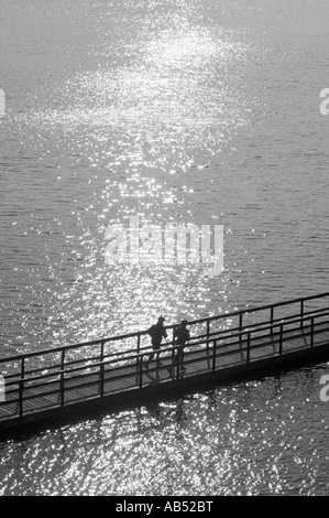 Silhouette of a runner on a bridge over water with ducks beneath at ...