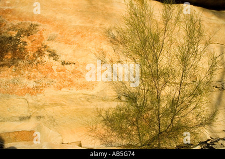 Isla Gorge Outback Queensland Australia Stock Photo - Alamy