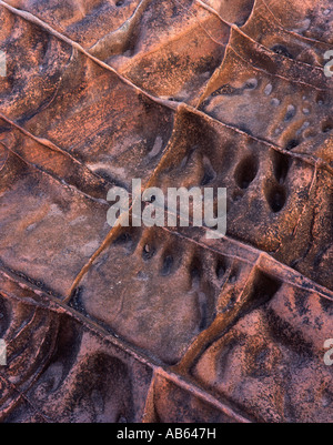 Shore detail, Pirates Cove, Corrie, Arran Stock Photo - Alamy