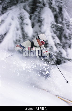 Professional skier at full speed ski downhill on fresh snow do carving ...
