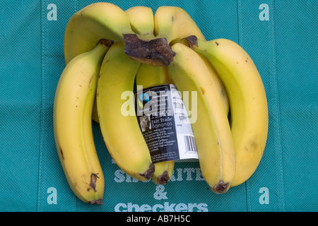 Fairtrade bananas from Dominica on sale at Tesco UK Stock Photo - Alamy