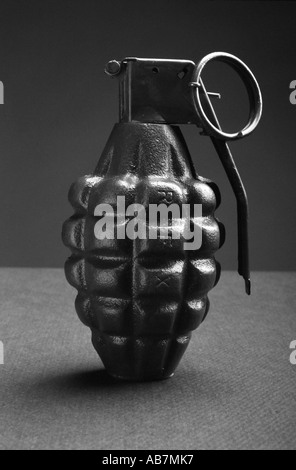 Hand with grenade Stock Photo - Alamy