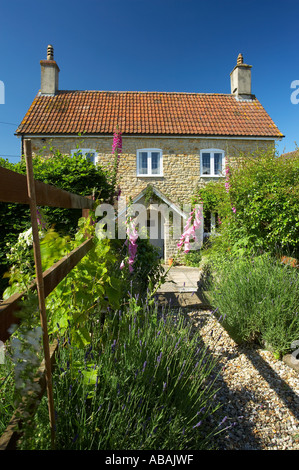 Plum Tree Cottage an English cottage property released Milborne Port ...