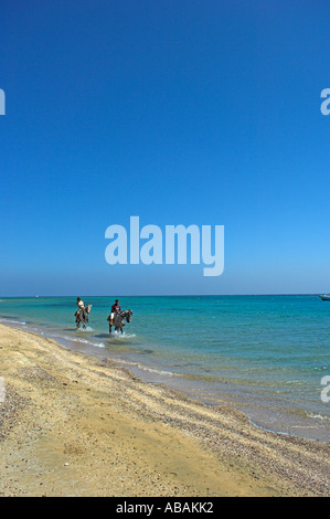 Two horseback riders in sea along Tondoba beach Red Sea Egypt Stock ...