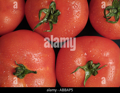 Fresh organic, juicy tomatoes, close-up, on a painted white table, top ...