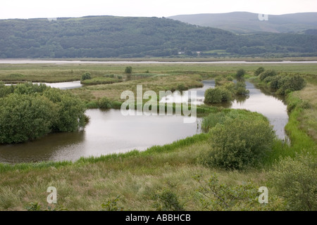 Ynys-hir RSPB Reserve in Wales, overlooks the River Dovey and the hills ...