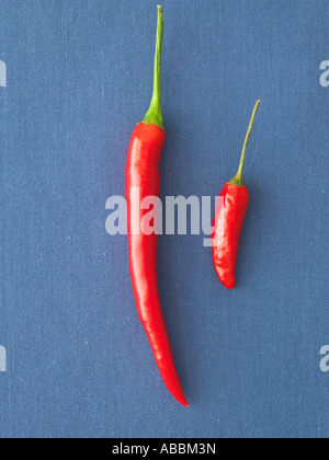 Plan view of red chilli peppers on a white wooden panelled,rustic ...