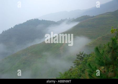 Misty morning on the rice terraces of Pingan Stock Photo - Alamy