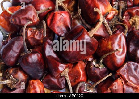 dried round red chilies Stock Photo - Alamy