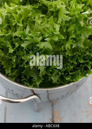 Top view shot of water lettuces Stock Photo - Alamy