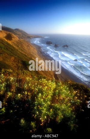 The Pacific coastline at the California Oregon Border Stock Photo - Alamy