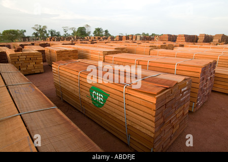 Mahogany, Khaya ivorensis, Africa, Mahogany wood section Stock Photo ...