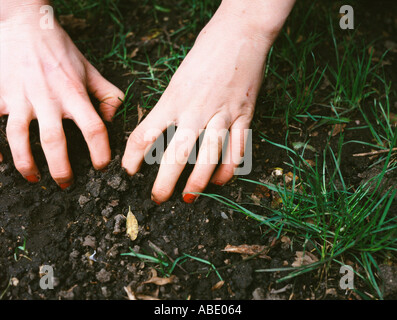 Woman hands touching soil on the field. Expert hand of farmer checking ...