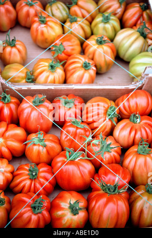 Red tomatoes packed in boxes. Harvest vegetables Stock Photo - Alamy