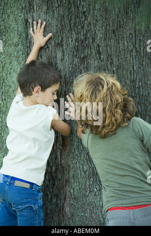 Child touching tree trunk, cropped Stock Photo - Alamy