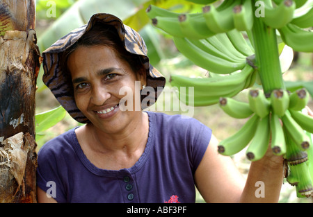 Fairtrade banana farmer, Dominica, Caribbean Stock Photo - Alamy