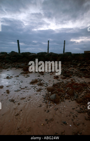 Wooden posts along the County Down coast, Northern Ireland Stock Photo ...