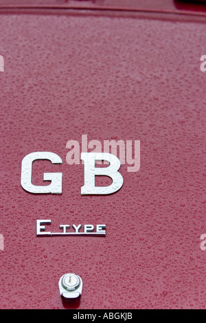 Jaguar E Type boot detail Stock Photo - Alamy