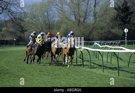 flat horse race racing bend group horses colours Stock Photo - Alamy