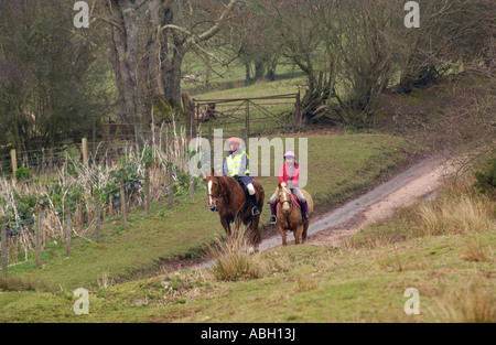 Pony trekkers riding down country lane on a Black Mountains riding loop ...