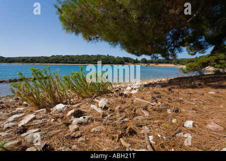 Verige site on Brioni islands, Veliki Brijun, Croatia Stock Photo - Alamy