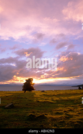 Lake Taupo, Waikato Region, North Island, New Zealand Stock Photo - Alamy