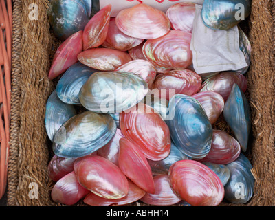rare sea shells on sale in Dare Salaam market , Tanzania Stock Photo ...