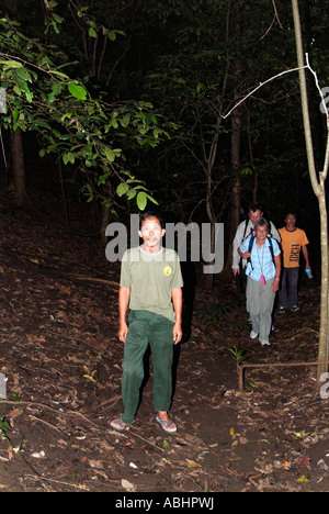 People leading by an indonesian guide near the jungle Stock Photo - Alamy