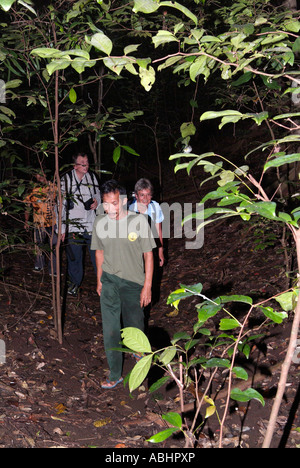 People leading by an indonesian guide near the jungle Stock Photo - Alamy