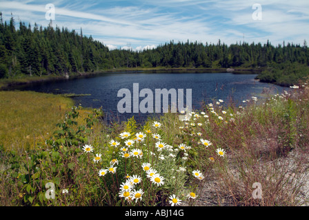 Lake near Baie Comeau, North of Quebec Stock Photo - Alamy