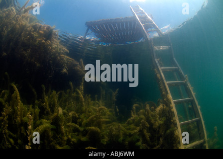 Diving deck in Clear Spring lake in Texas Stock Photo - Alamy