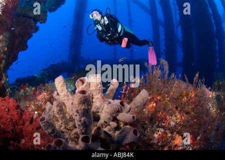 Portrait of a diver diving thru a rig in the Gulf of Mexico Stock Photo ...