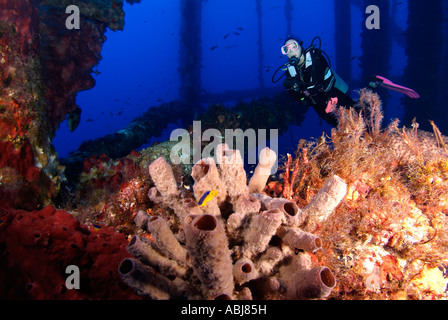 Portrait of a diver diving thru a rig in the Gulf of Mexico Stock Photo ...