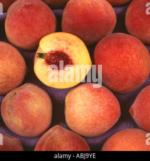 Ruston Red peach, Georgia Stock Photo - Alamy