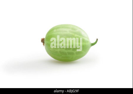 Single Gooseberry Plain Simple Stock Photo - Alamy