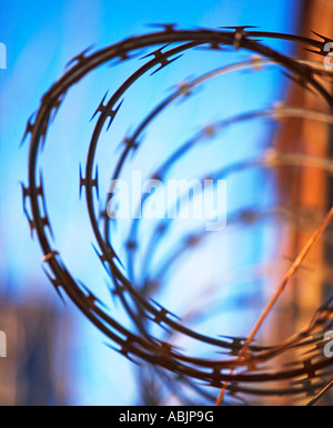 Razor sharp barbed wire coiled on top of a chain link fence Stock Photo ...