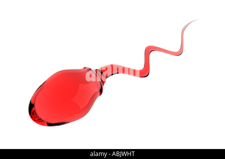 Single male sperm cell Stock Photo - Alamy