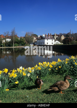 South Pond, Midhurst, West Sussex, England, UK Stock Photo - Alamy
