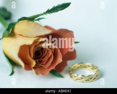 The Welsh Rose Stock Photo - Alamy