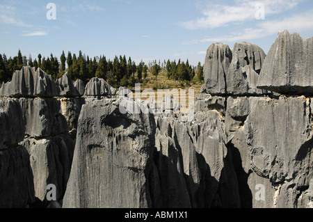 Visit to the Stone Forest, Kunming, Yunnan province, China. Limestone ...