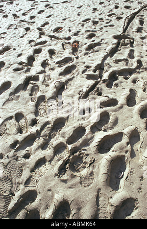 many footsteps in mud Stock Photo - Alamy