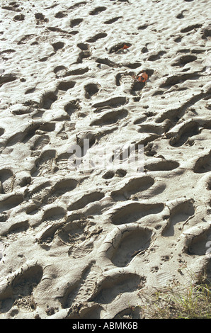 many footsteps in mud Stock Photo - Alamy