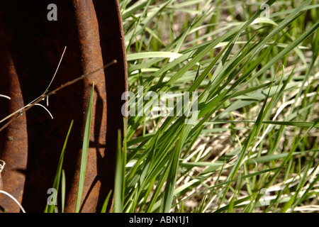 rusted steel wheel in the Sukanen Pioneer Village Stock Photo - Alamy