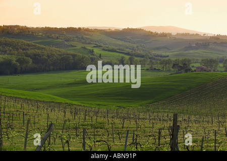 Landscape, Monaciano, Tuscany, Italy Stock Photo - Alamy