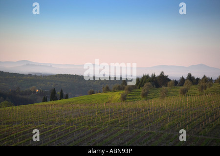 Landscape, Monaciano, Tuscany, Italy Stock Photo - Alamy