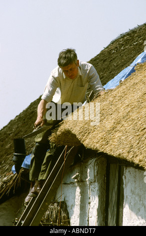 A skilled thatcher at work replacing the traditional thatched roof of ...