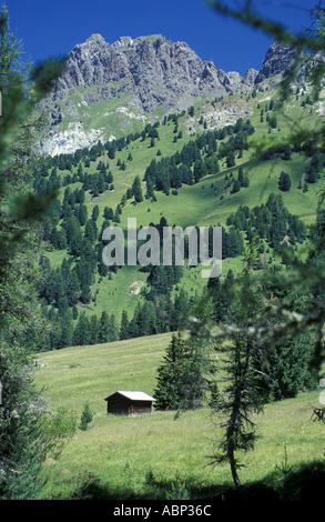 Val di San Nicolï¿½ Stock Photo - Alamy