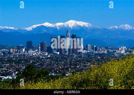 The downtown Los Angeles skyline with snow capped Mt .Baldy of the San ...
