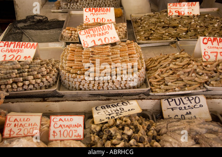 Fresh Squid at the Ensenada Fish Market Stock Photo - Alamy