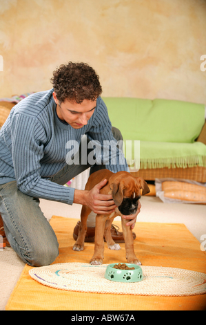Man feeding cute dog with food from metal bowl Stock Photo - Alamy